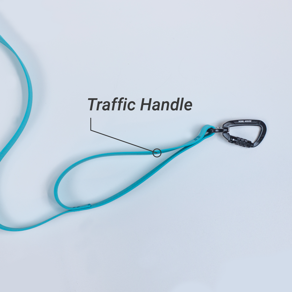 Hands-Free Leash – Howl House